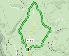 Big Tree Loop, Washington - 20 Reviews, Map | AllTrails