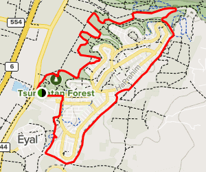 Kochav Yair, Tzur Yigal and Tsur Natan Forest | Map, Guide - Central ...