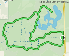 Rose Lake Outer Loop, Michigan - 494 Reviews, Map | AllTrails