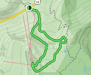 Pigtail Peak via White Pass: 9 Reviews, Map - Washington | AllTrails