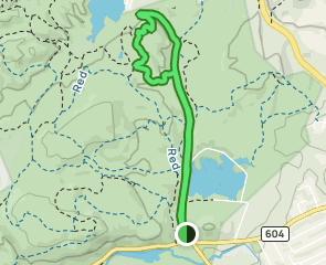 Iron Mine Loop via Sussex Branch Trail: 202 Reviews, Map - New Jersey ...