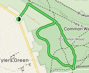 Rushmoor Path and Middle Way Circuit: 42 fotos - Buckinghamshire ...