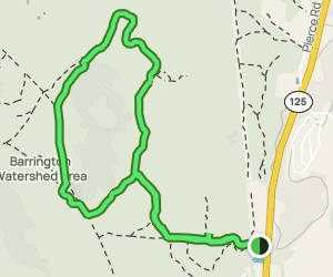 Barrington Watershed Area Loop: 325 foto's - New Hampshire | AllTrails