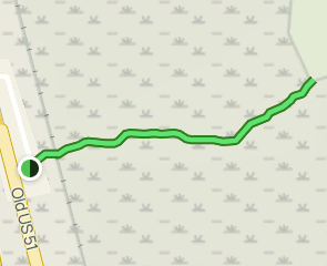 Joyce WMA Swamp Walk Nature Trail, Louisiana - 48 Reviews, Map | AllTrails