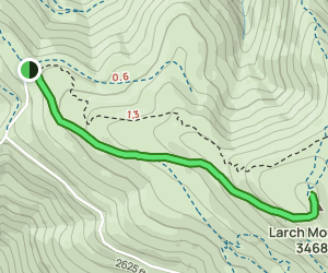 Larch Mountain MTB Trail: 28 foto's - Washington | AllTrails