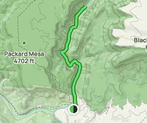 Parsons Trail: 602 Reviews, Map - Arizona | AllTrails