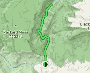 Parsons Trail, Arizona - 630 Reviews, Map | AllTrails