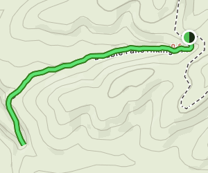 Pine Island Double Falls: 562 Reviews, Map - Kentucky | AllTrails