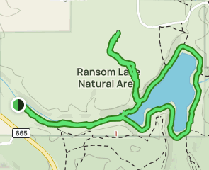 Ransom Lake Loop, Michigan - 243 Reviews, Map | AllTrails