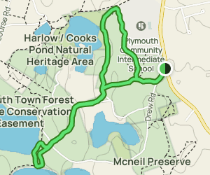 AllTrails | Plymouth Town Forest: 184 Reviews, Map - Massachusetts