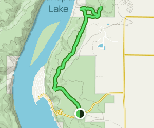 Cave B Waterfall Trail: 203 fotos - Washington | AllTrails