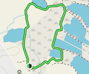 Beaver Dam and Cattail Loop | Mapa, Guía - Georgia | AllTrails