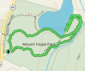 Mount Hope Park Trail: 14 Reviews, Map - Connecticut | AllTrails