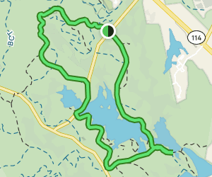 Stearns Pond Loop: 211 Reviews, Map - Massachusetts | AllTrails