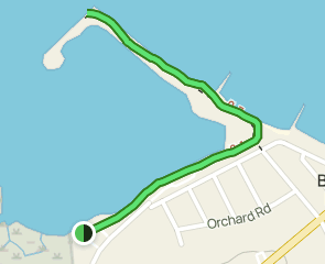 Braddock Bay Marina and Beach, New York - 62 Reviews, Map | AllTrails