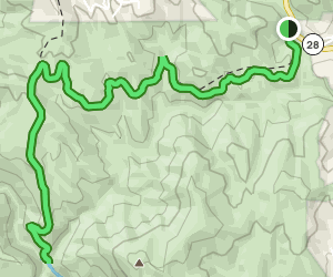 Three Forks Trail: 83 Reviews, Map - Georgia | AllTrails