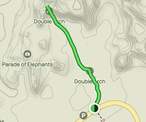 Double Arch Trail: 3763 Reviews, Map - Utah | AllTrails