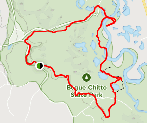 Bogue Chitto State Park Gorge Run Trail - Louisiana | AllTrails