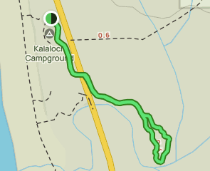 Kalaloch Creek Nature Trail, Washington - 188 Reviews, Map | AllTrails