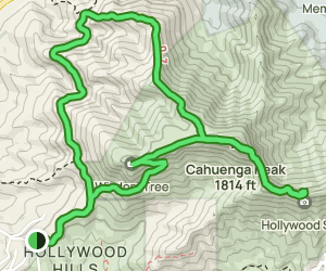 Wisdom Tree, Cahuenga Peak and Mount Lee Summit Loop: 1329 Reviews, Map ...