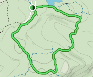 Wildcat Loop Trail: 223 Reviews, Map - New Jersey | AllTrails