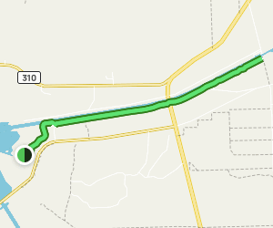 Florida Trail: Rodman Campground to Buckman Lock, 79 Photos - Florida ...