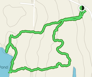 Peters Pond Loop: 47 Reviews, Map - Maine | AllTrails