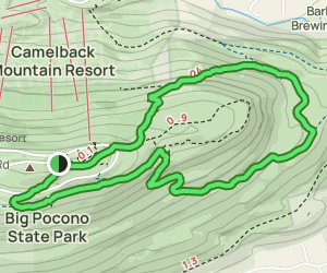 AllTrails | Big Pocono South and North Trail Loop: 344 Reviews, Map ...