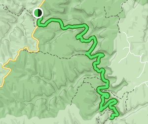 Swift Camp Creek Trail to Creation Falls: 245 Reviews, Map - Kentucky ...