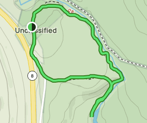 Auger Falls Loop: 502 Reviews, Map - New York | AllTrails