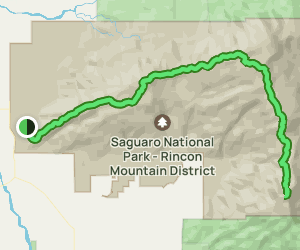 Tanque Verde Peak and Rincon Peak: 11 Reviews, Map - Arizona | AllTrails