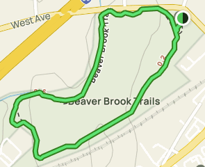 Beaver Brook Nature Trails, Connecticut - 265 Reviews, Map | AllTrails