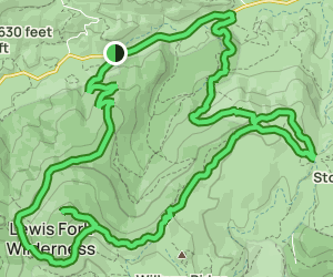 Mount Rogers and Crest Trail Loop: 14 Reviews, Map - Virginia | AllTrails