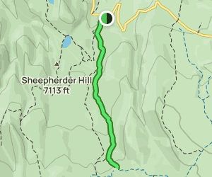 Lizard Lake Trail: 43 Reviews, 42 Photos, Map - Utah | AllTrails