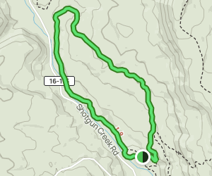 Upper Shotgun Creek Trail: 221 Reviews, Map - Oregon | AllTrails
