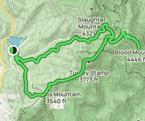 Blood Mountain via Slaughter Creek Trail | Map, Guide - Georgia | AllTrails