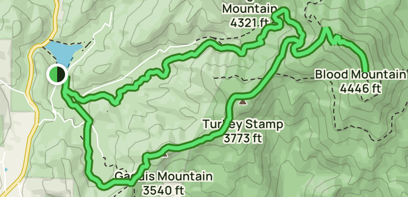 Slaughter Mountain Ga