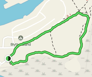 Blythe Island Nature Trail: 68 Reviews, Map - Georgia | AllTrails