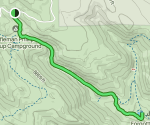 Buffalo Trail: 273 Reviews, Map - Colorado | AllTrails