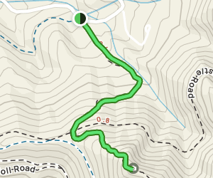 Lookout Trail: 2224 Reviews, Map - North Carolina | AllTrails