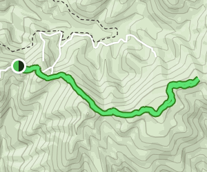 Lightning Creek Trail: 16 Reviews, Map - Idaho | AllTrails