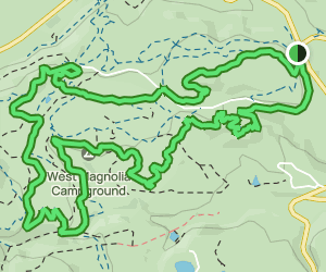 West Magnolia Loop Trail: 321 Reviews, Map - Colorado | AllTrails