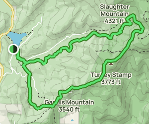 Jarrard Gap Trail: 339 Reviews, Map - Georgia | AllTrails