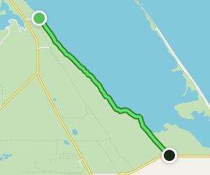 Bio Lab Road: 38 Reviews, Map - Florida | AllTrails