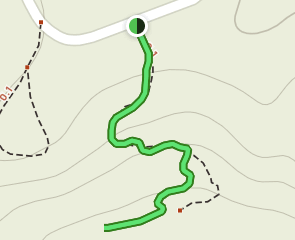 Cape Arago South Cove Trail: 60 Reviews, Map - Oregon | AllTrails