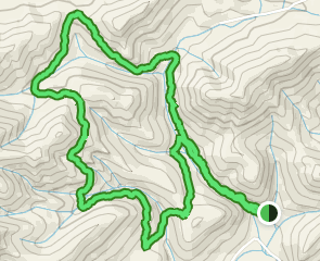 Doe Mountain Loop, Tennessee - 24 Reviews, Map | AllTrails