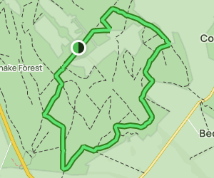 Heart of Savernake Forest Circular: 87 Reviews, Map - Wiltshire ...