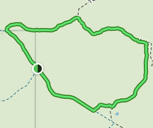 Rooks Trail West: 107 Reviews, Map - Florida | AllTrails