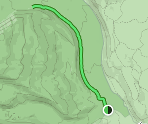 Jefferson Lake Trail: 25 Reviews, Map - Oregon | AllTrails