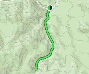 Phantom Falls Trail: 30 Reviews, Map - Idaho | AllTrails